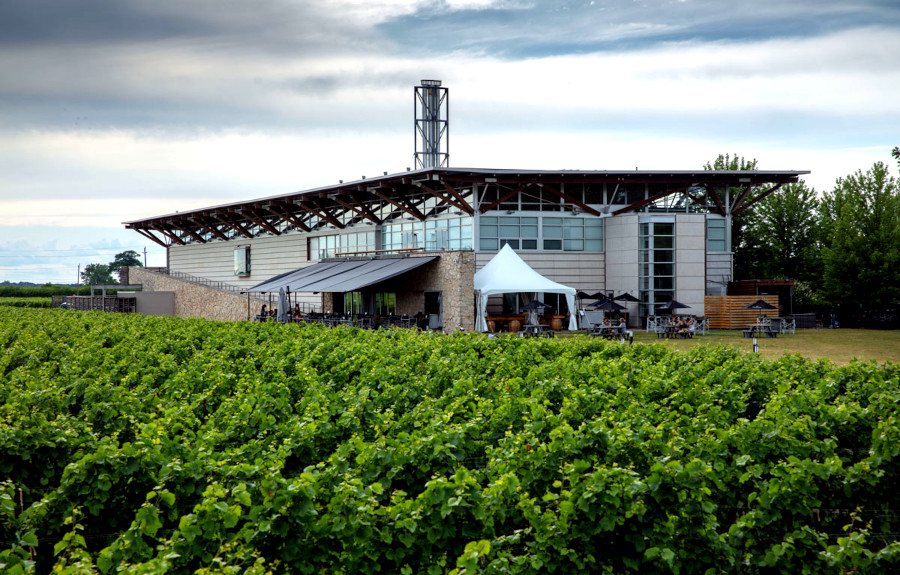 Le Jackson-Triggs Reserve Merlot 2020, un vin délicieux - SamyRabbat.com