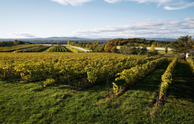 Liste complète des vignobles québécois - SamyRabbat.com